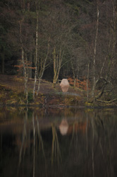 Kirroughtree Visitor Centre | Private House Stays